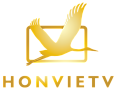 Honvietv Channel 2038 Live on DIRECTV TV