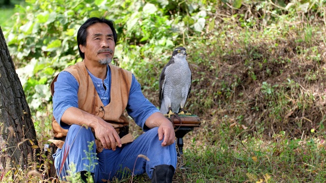 Watch Wild Korea Return to the Wild S1 E1 | DIRECTV