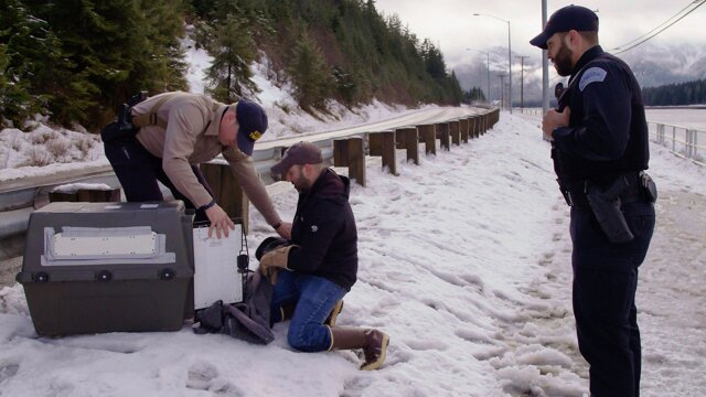 Watch Alaska PD Online | Stream the Full Movie on DIRECTV