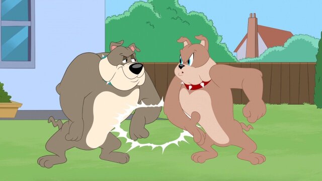 Watch The Tom and Jerry Show Top Dog S5 Eundefined | DIRECTV.