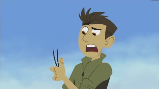 Watch Wild Kratts Quillber's Birthday Present S1 E40 | DIRECTV.