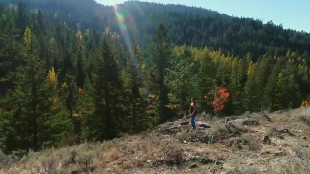 Watch Alaskan Bush People The Wild New Wild S10 E7 | DIRECTV.