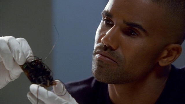 Watch Criminal Minds Empty Planet S2 E8 | DIRECTV