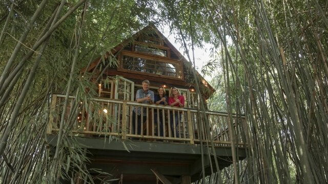 Watch Treehouse Masters Online | Stream the Full Movie on DIRECTV