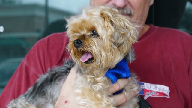 Watch Animal ER Online | Stream the Full Movie on DIRECTV