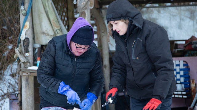 Watch Port Protection Alaska Tree of Death S7 E4 | DIRECTV.