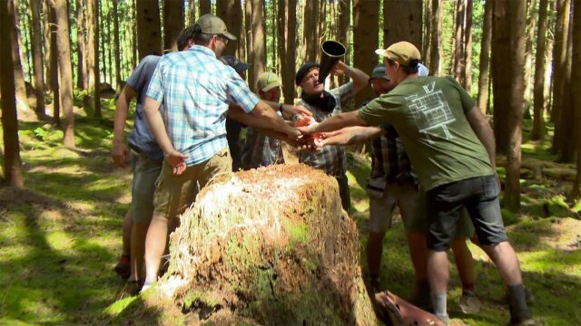 Watch Treehouse Masters Online | Stream the Full Movie on DIRECTV