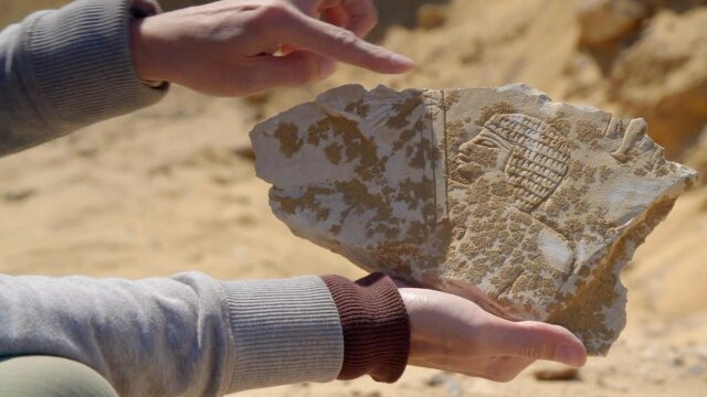 Watch Lost Treasures of Egypt Secrets of the Lost Pyramids S4 E5 | TV ...