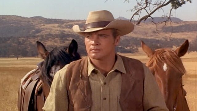 Watch The Big Valley The Odyssey of Jubal Tanner S1 E5 | TV Shows | DIRECTV