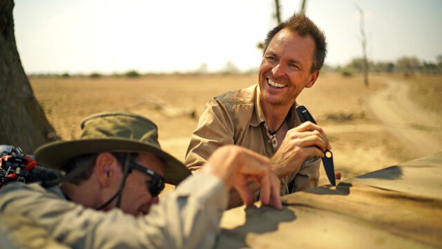Watch Explorer Lions of Zambia S11 E10 | TV Shows | DIRECTV
