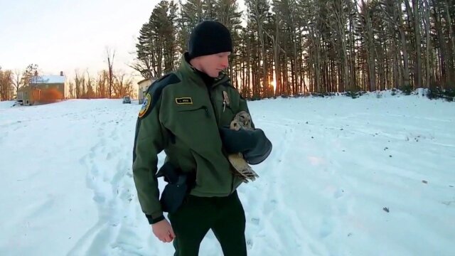 Watch North Woods Law Wild Winter S13 E1 | DIRECTV