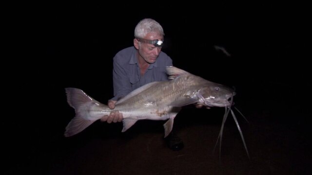 Watch River Monsters Man-Eating Monster S6 E4 | DIRECTV
