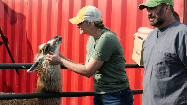 Watch Heartland Docs, DVM So Hard to Say Goat-bye S3 E1 | DIRECTV