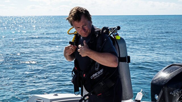 Watch Shark Attack Files Wrecked S2 E7 | DIRECTV