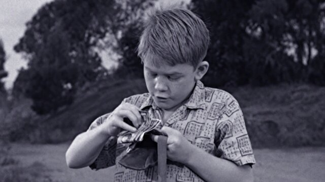 Watch The Andy Griffith Show Opie's Fortune S5 E9 | TV Shows | DIRECTV