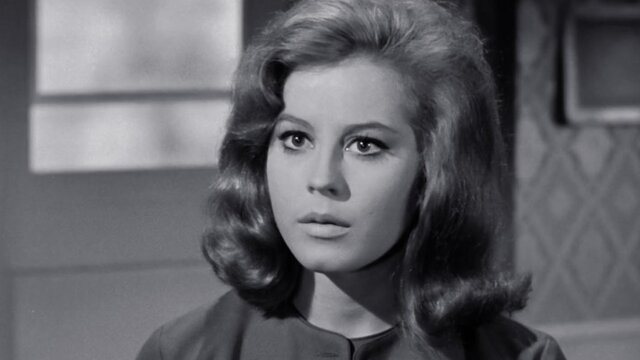 Watch Perry Mason The Case of the Festive Felon S7 E9 | TV Shows | DIRECTV