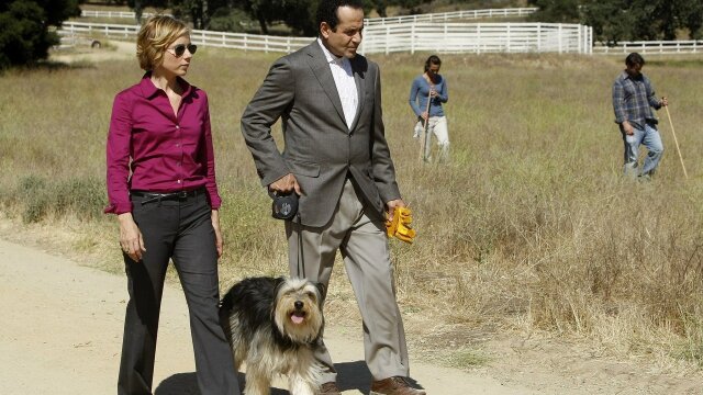 Watch Monk Mr. Monk and the Dog S8 E11 | TV Shows | DIRECTV