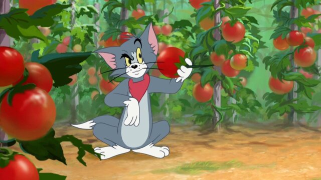 Watch Tom and Jerry Tales Summer Squashing; League of Cats; Little Big ...