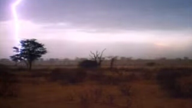 Watch Animal Battlegrounds Deserts S1 E2 | TV Shows | DIRECTV