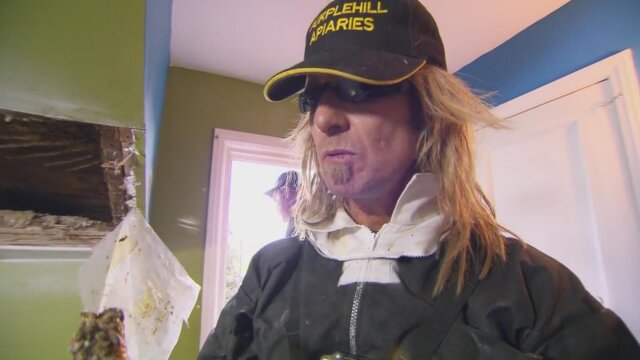 Watch Billy the Exterminator Sting Operation S7 E6 | TV Shows | DIRECTV