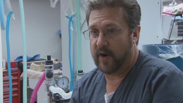 Watch Animal Cops: Phoenix Down to Business S20 E2 | TV Shows | DIRECTV