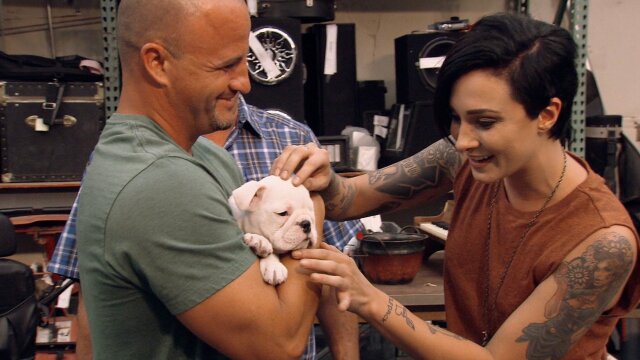 Watch Barter Kings Puppy Love S3 E2 | TV Shows | DIRECTV