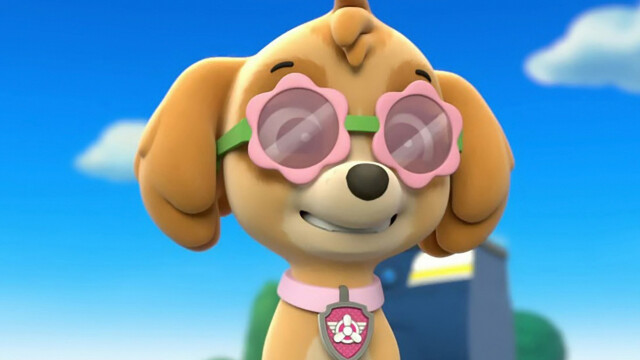 Watch PAW Patrol Pups Save a Pool Day; Circus Pup-Formers S1 E14 | TV ...