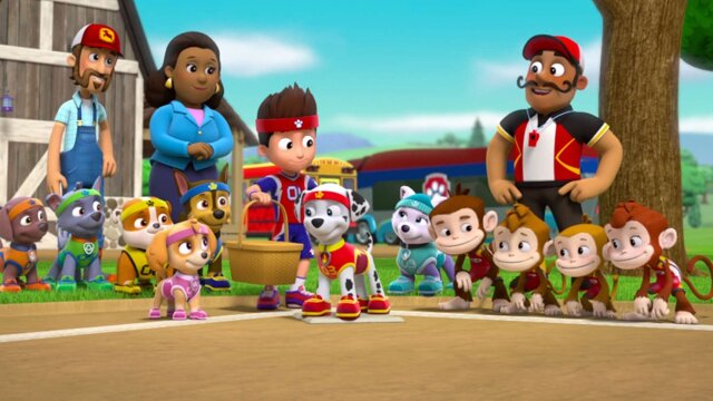 Watch PAW Patrol All-Star Pups!; Pups Save Sports Day S3 E13 | TV Shows ...