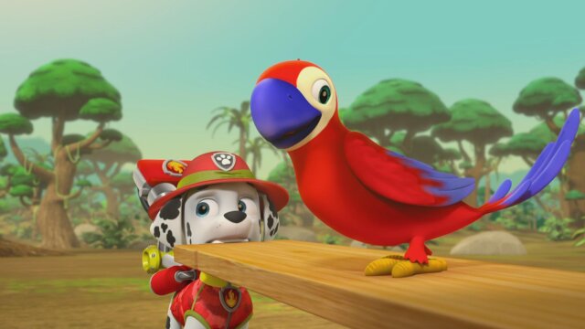 Watch PAW Patrol Parroting Pups; Merpups Save the Turbots S3 E15 | TV ...