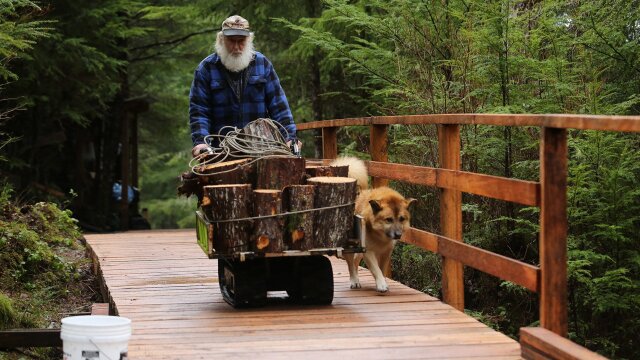 Watch Port Protection Shell-Shocked S2 E8 | TV Shows | DIRECTV