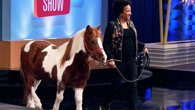 Watch Talk Show the Game Show Wanda Skyes, Lauren Ash, Nico Santos S2 ...