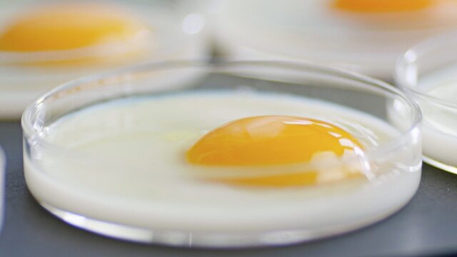 Watch Food -- Delicious Science We Are What We Eat S1 E1 | TV Shows ...