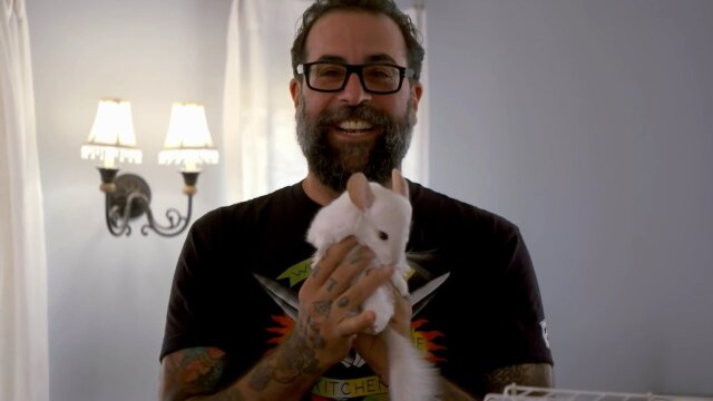 Watch Animal Cribs Chinchilla Chill Pad S2 E2 | TV Shows | DIRECTV