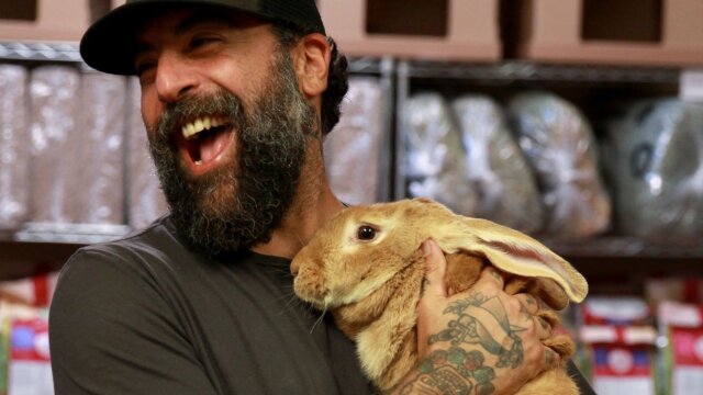Watch Animal Cribs Bunny Beach Bungalow S2 E8 | TV Shows | DIRECTV