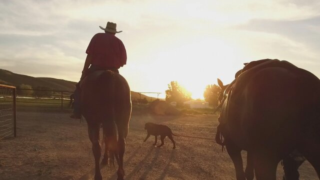 Watch Murder in the Heartland To Kill a Cowboy S4 E1 | TV Shows | DIRECTV