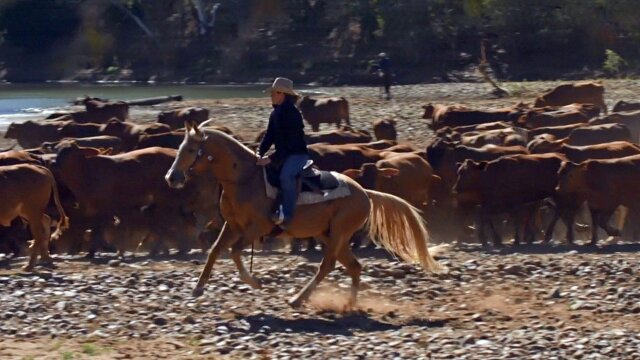 Watch Outback The Dry Season S1 E2 | TV Shows | DIRECTV