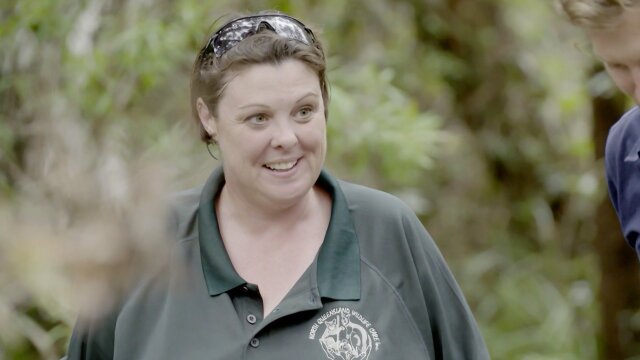 Watch Vet Gone Wild: Global Rescue Scrub Python Release S1 E4 | TV ...