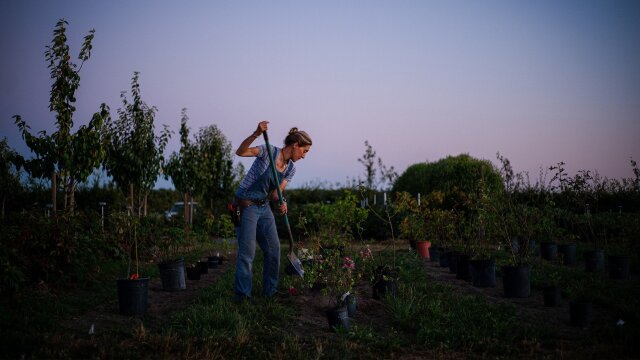 Watch Growing Floret Preserving the Old S2 E1 | TV Shows | DIRECTV