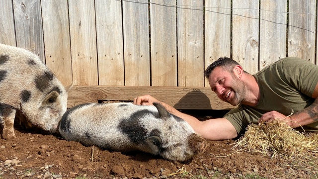 Watch My Pack Life Sarge is In Charge S1 E3 | TV Shows | DIRECTV