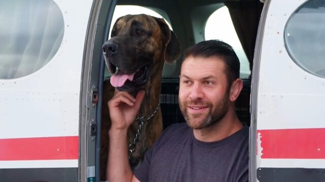 Watch My Pack Life Sarge's Next Chapter S1 E8 | TV Shows | DIRECTV