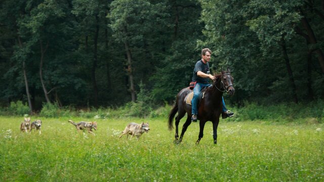 Watch Zoltan the Wolfman Hollywood Close-Up S1 E2 | TV Shows | DIRECTV