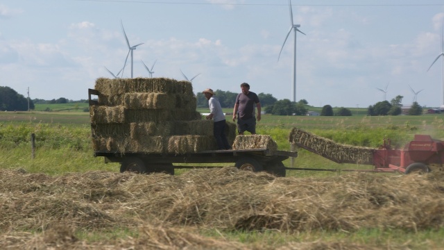 Watch The Incredible Pol Farm Haymakers S1 E3 | TV Shows | DIRECTV