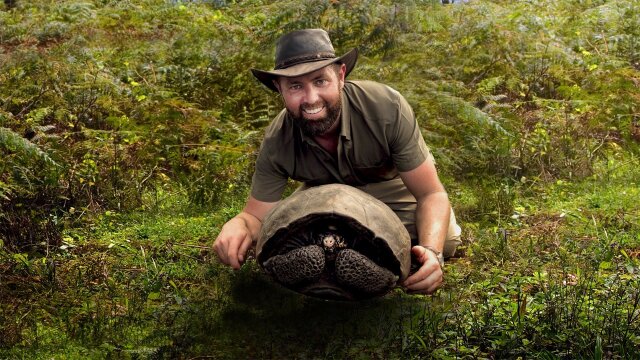 Watch Extinct or Alive The Hidden Turtle of Vietnam S2 E13 | TV Shows ...