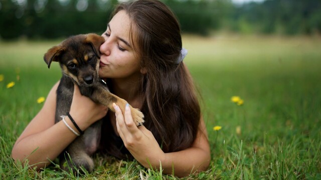 Watch Amanda to the Rescue Online | Stream the Full Movie on DIRECTV