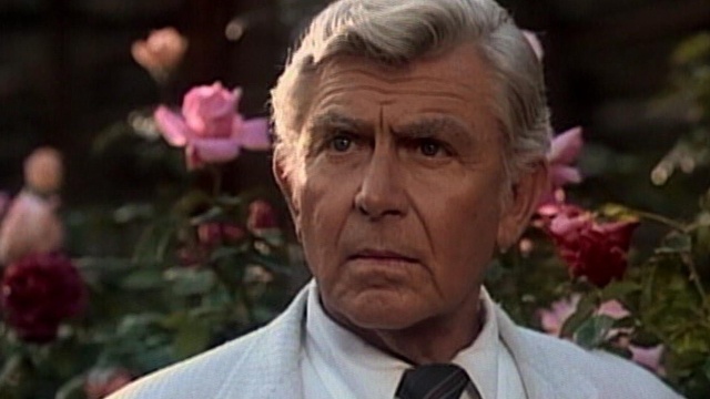 Watch Matlock The Don S1 E7 | DIRECTV.