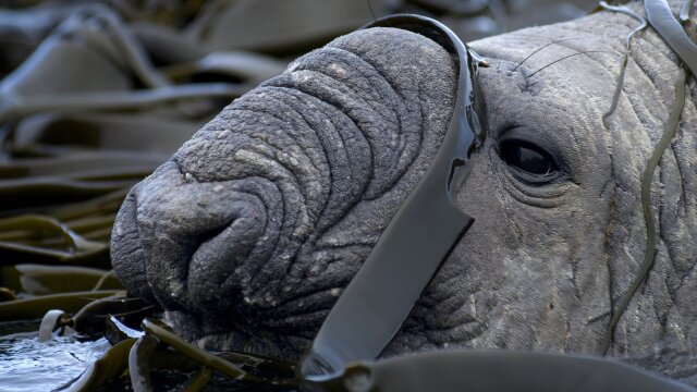 Watch Planet Earth: South Pacific Ocean of Islands S1 E1 | TV Shows ...