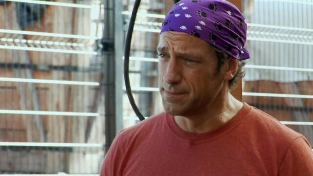 Watch Dirty Jobs Animal Rendering S5 E3 | DIRECTV.