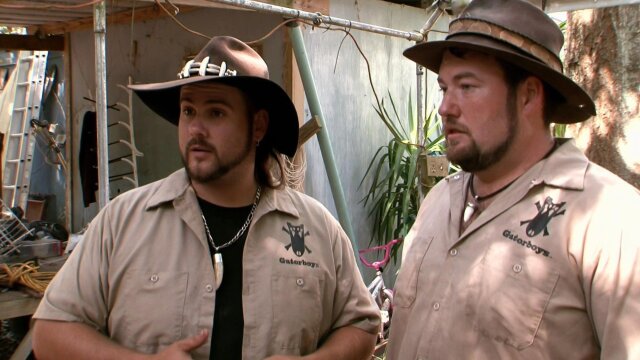 Watch Gator Boys Gator Smackdown S3 E6 | DIRECTV