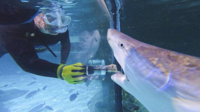 Watch RV There Yet? Key West S2 E7 | TV Shows | DIRECTV