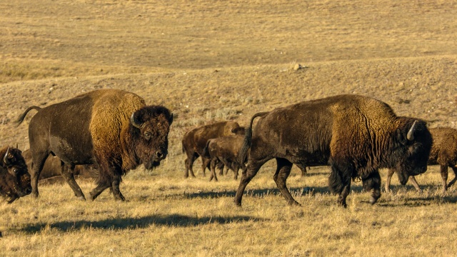 Watch Dynamic Planet Earth S1 E4 | TV Shows | DIRECTV